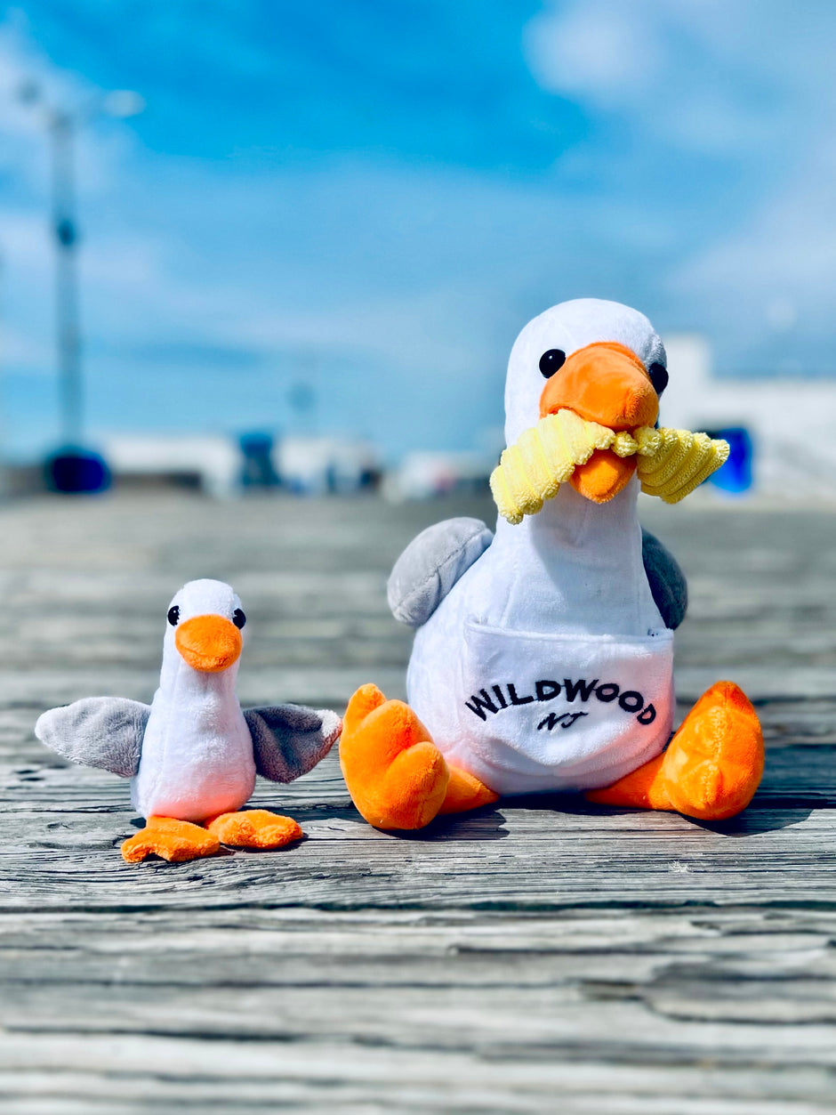 Seagull – St.George's Store